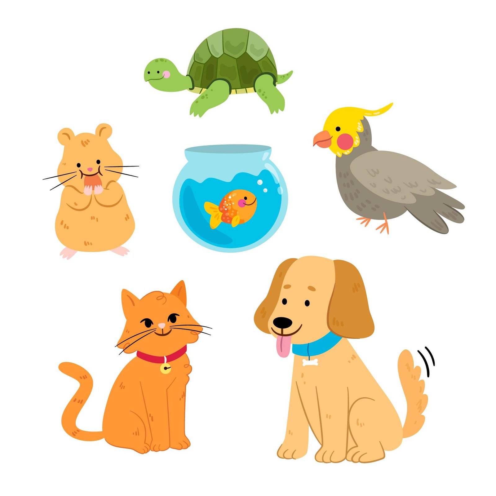 PeppyPets – PeppyPets